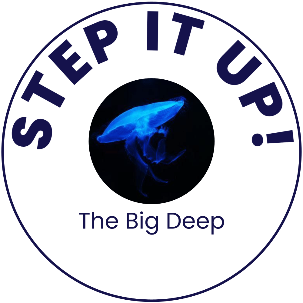 SLJ The Big Deep – Step It Up – Blane @ Hay Park School